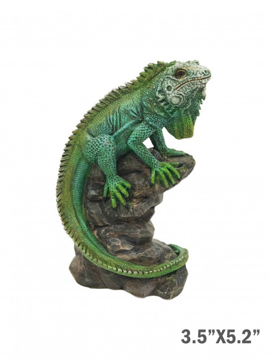 5" Lizard