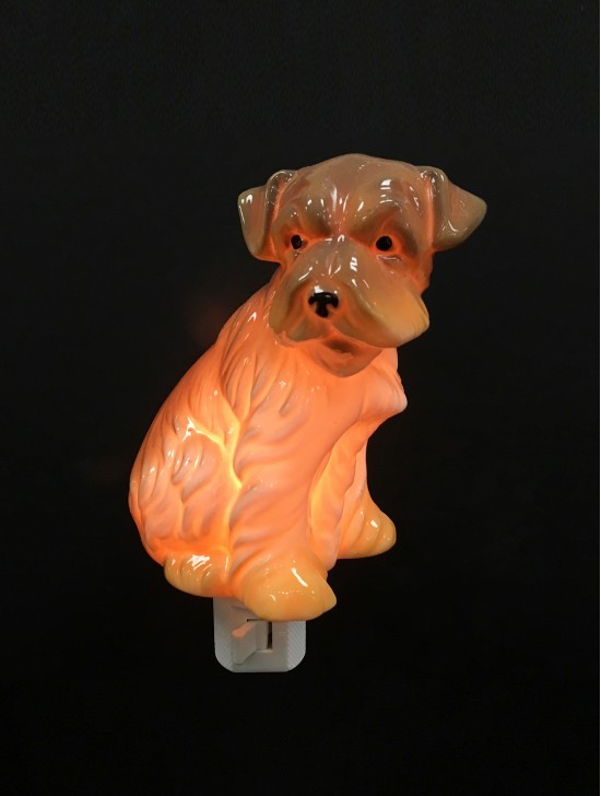Terrier Night Light with Gift Box